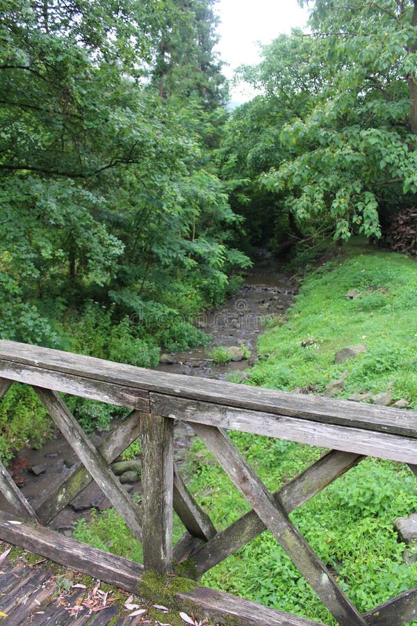 Creek Near Velky Stolpich Waterfall Stock Image - Image of czech, flow ...