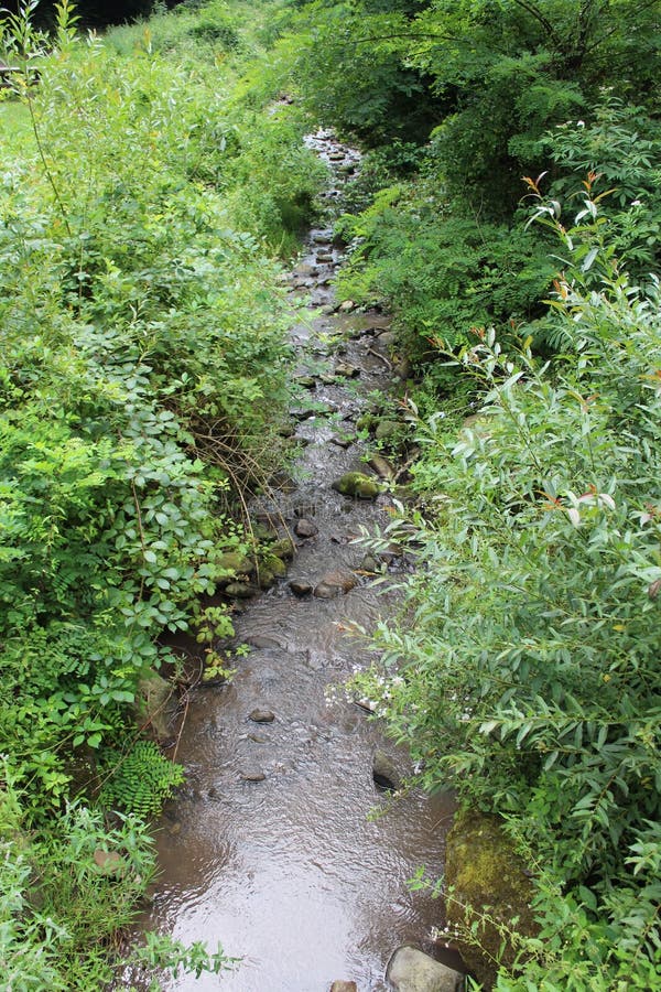 Creek Near Velky Stolpich Waterfall Stock Image - Image of czech, flow ...