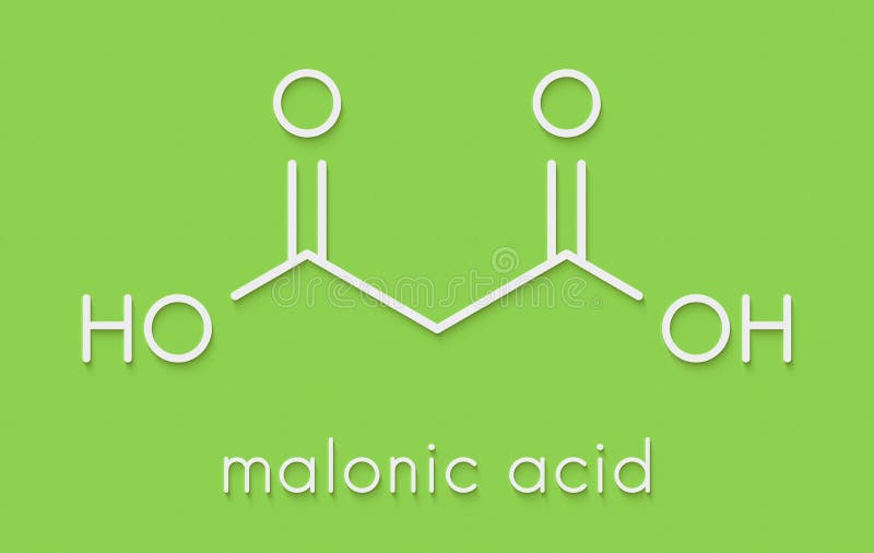 Malonic Acid Organic Dicarboxylic Acid Molecule. Skeletal Formula ...