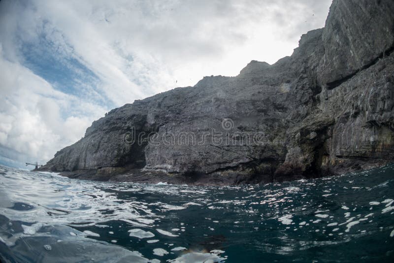 Malpelo Island Colombia stock image. Image of school - 81485187
