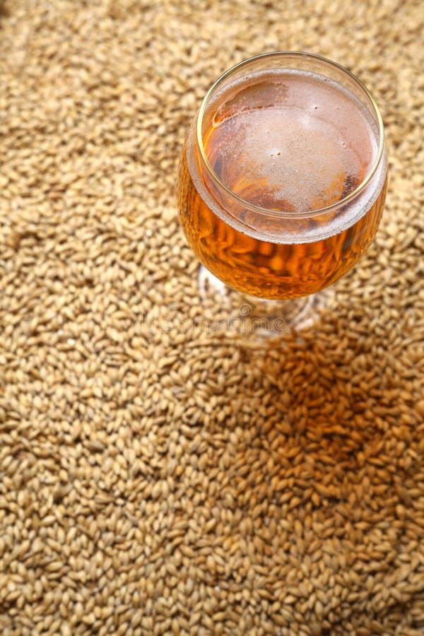 Malt and beer stock photo. Image of malt, alcohol, beer - 50323118