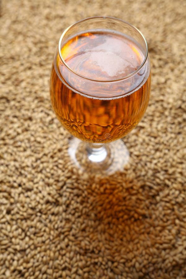 Malt and beer stock photo. Image of malt, alcohol, beer - 50323118