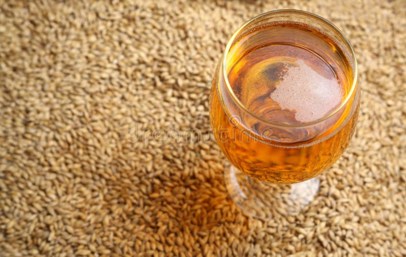 Malt and beer stock photo. Image of alcohol, ingredient - 50323412
