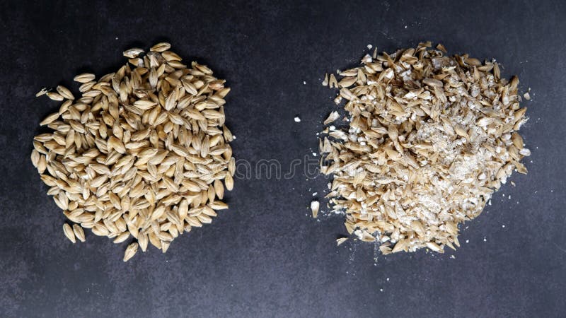 397 Malt Tree Stock Photos - Free & Royalty-Free Stock Photos from ...