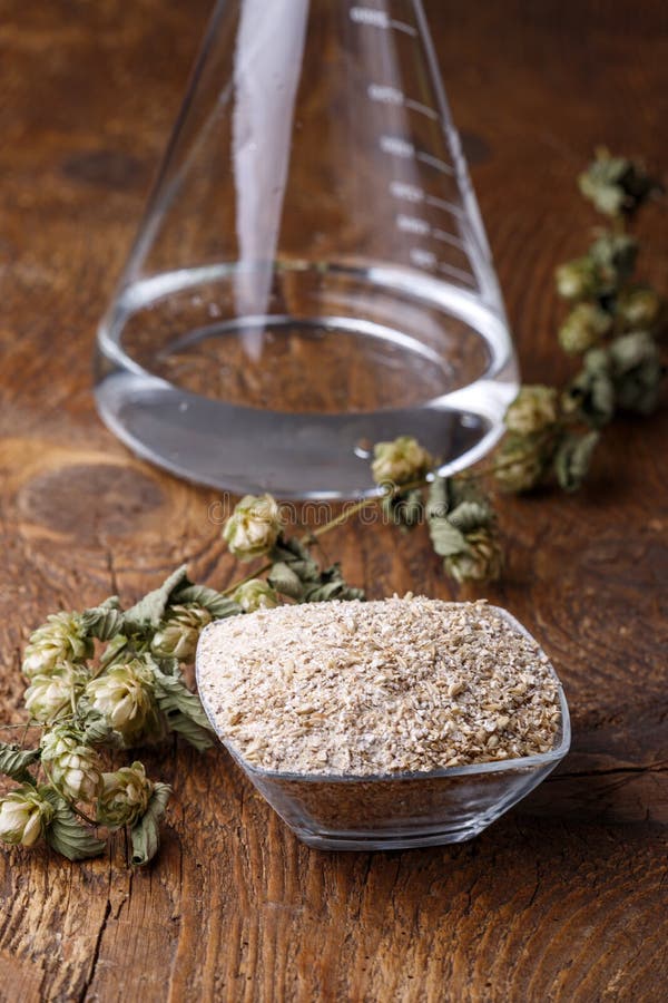 Malt stock photo. Image of brewery, malted, mash, dark - 231399172