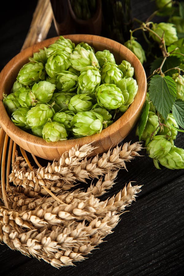 Malt and hops stock image. Image of wooden, green, brewing - 78741123
