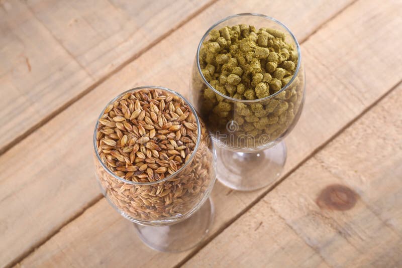 Malt and hops in glasses stock image. Image of craft - 67630569