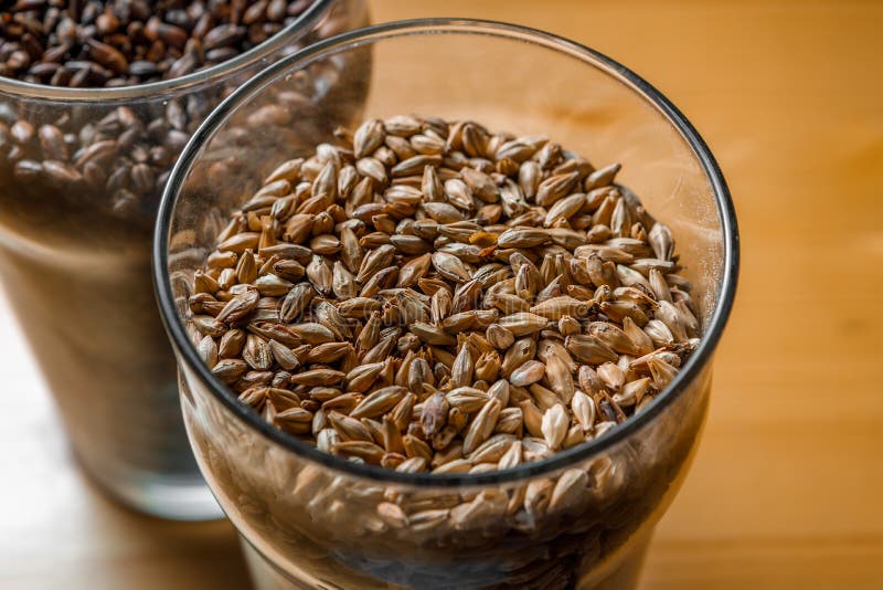 Malt for Light and Dark Beer in Glass Glasses Stock Photo - Image of ...