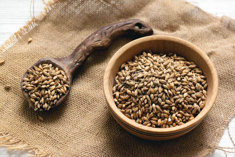 Malt. stock image. Image of dish, basin, kitchen, grain - 170616779