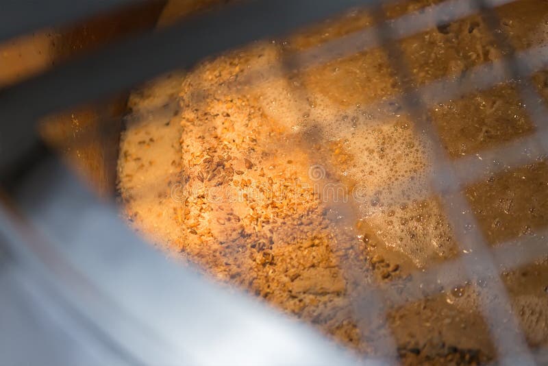 Malt seeds boiling stock image. Image of boil, elaboration - 67890555