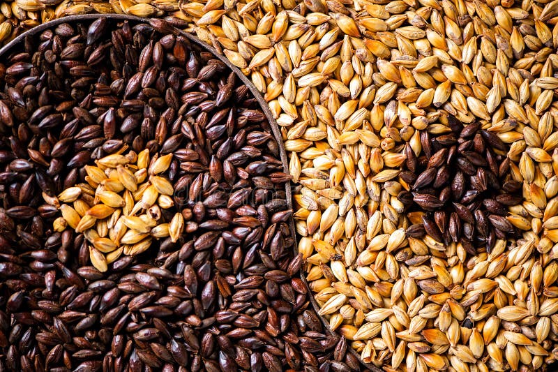 Malt yin yang symbol stock photo. Image of seeds, symbol - 135606954