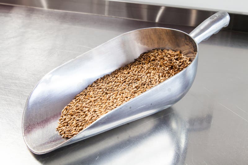 Malta de la cerveza foto de archivo. Imagen de travieso - 31768400