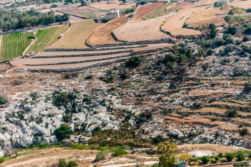 Malta - fields and meadows stock image. Image of port - 74194391