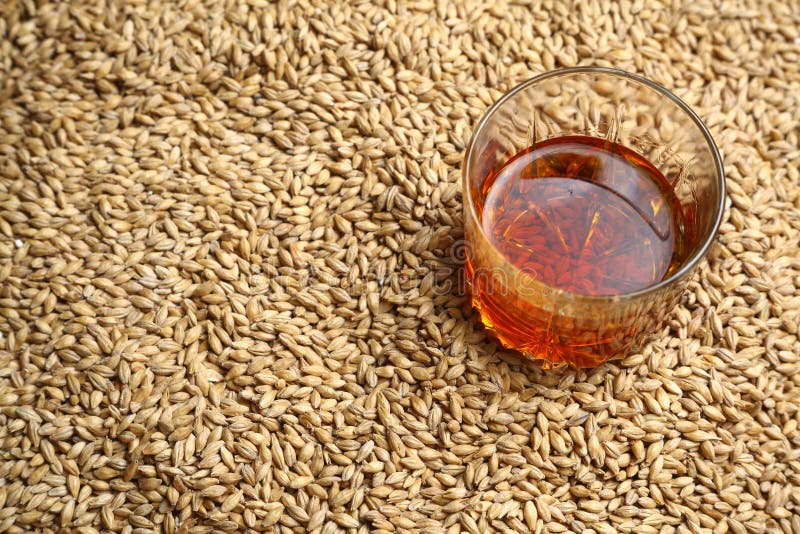 Malta de la cebada imagen de archivo. Imagen de ingrediente - 46388027