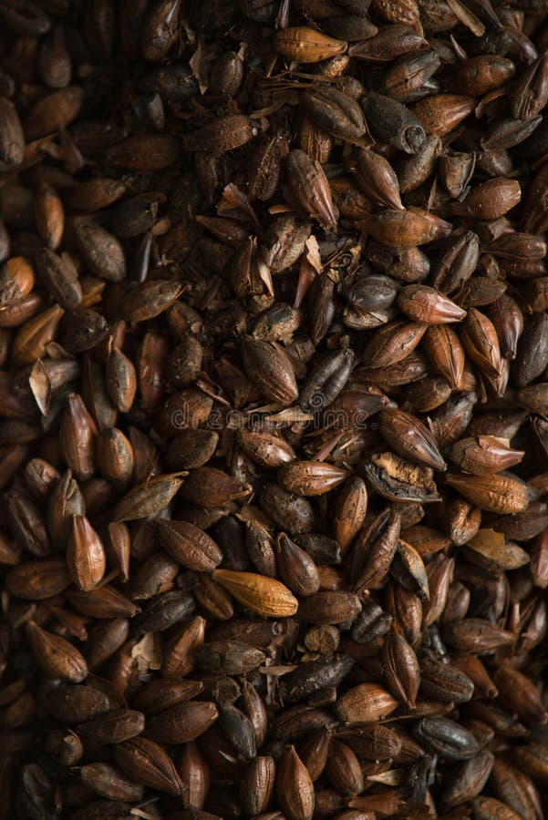 Malted grains stock image. Image of crystal, grains, grain - 28367395