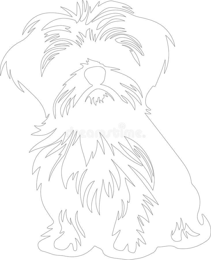 Maltese Outline Silhouette Generative Ai Stock Vector - Illustration of ...