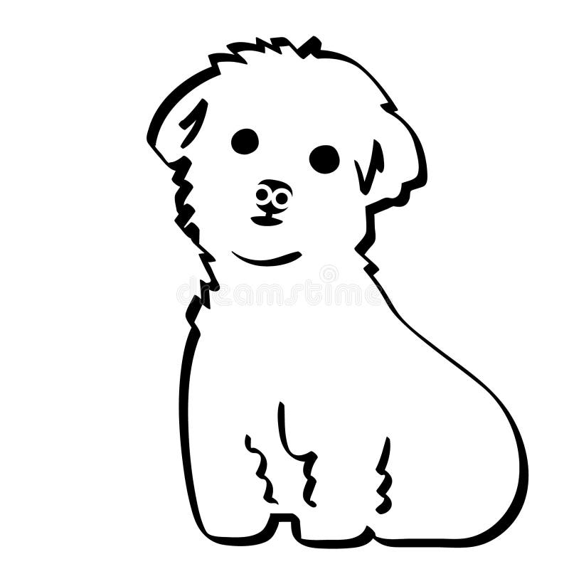 Maltese Vector Eps Hand Drawn, Vector, Eps, Logo, Icon, Crafteroks ...