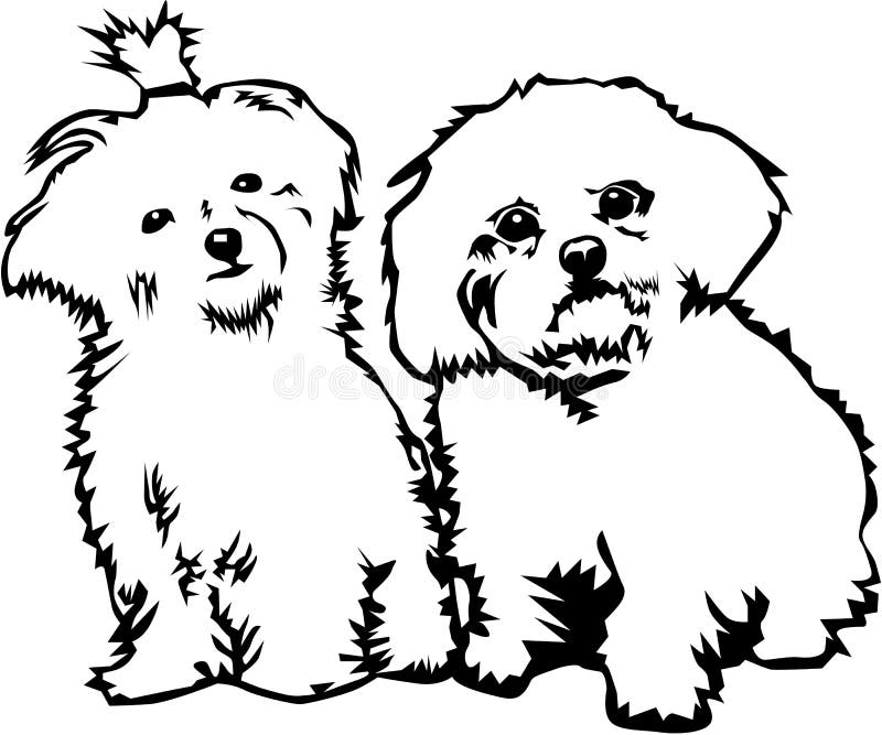 Maltese Dogs Stock Illustrations – 584 Maltese Dogs Stock Illustrations ...
