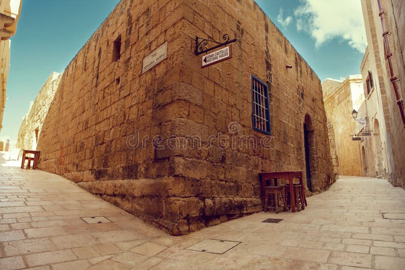 Maltese wall lizard stock image. Image of maltese, small - 38618103