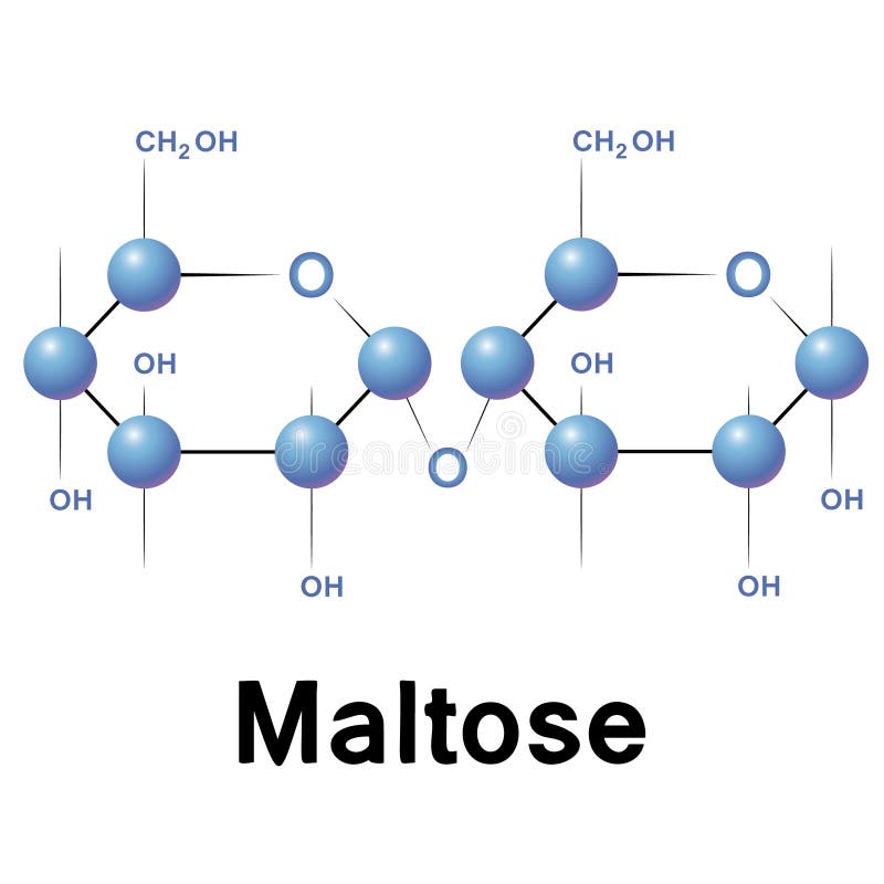 Molécula De La Maltosa Con Fórmula Química Stock de ilustración ...