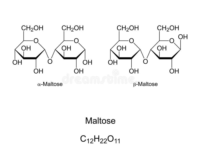 Maltose Molecule Made with Balls, Isolated Molecular Model. 3D ...