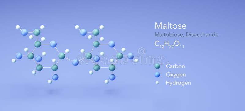 Maltose, Disaccharide, Malt Sugar. Molecular Structure 3d Rendering ...