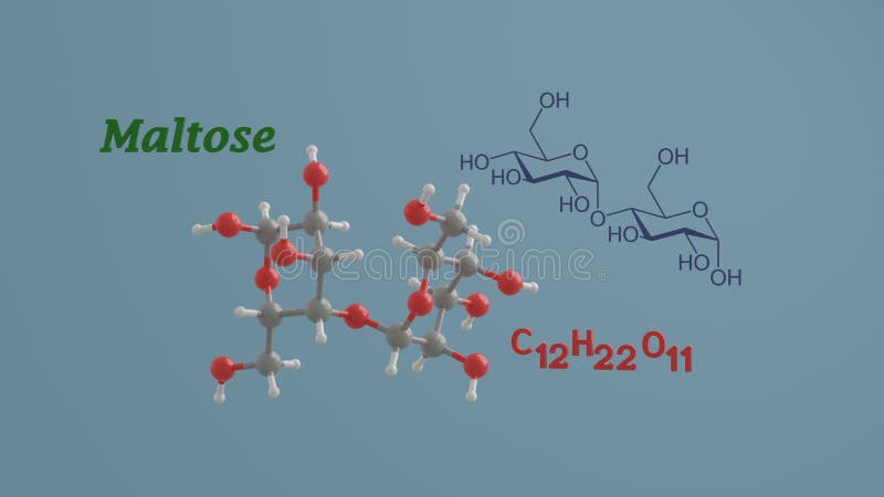 Maltose Chemical Structure. Vector Illustration Hand Drawn Stock Vector ...