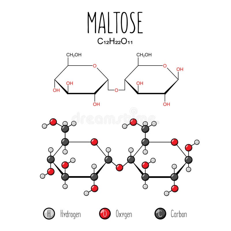 Maltose Skeletal and Flat Representation. Stock Vector - Illustration ...