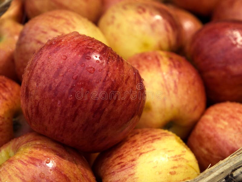 Malus Domestica stock photo. Image of market, mediterranean - 14562472