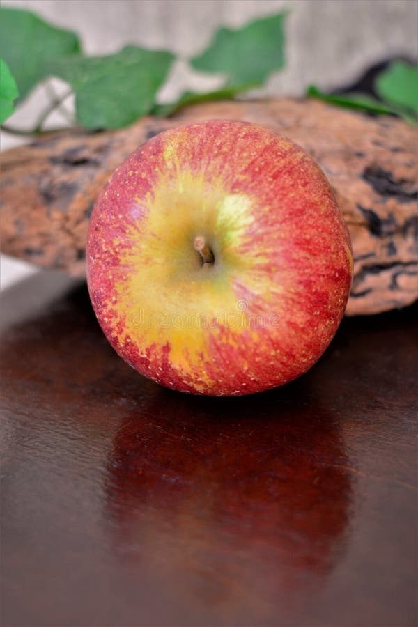 Malus Domestica Red and Its Reflection on the Table Stock Photo - Image ...