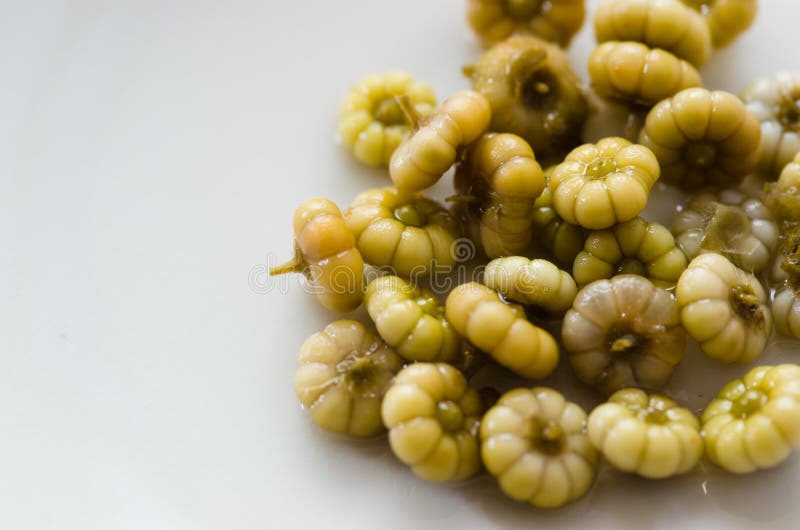 Malva fruit stock afbeelding. Image of wild, nave, genezing - 57967777