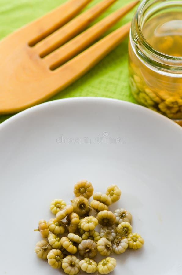 Malva fruit stock image. Image of flora, healing, nature - 57967881