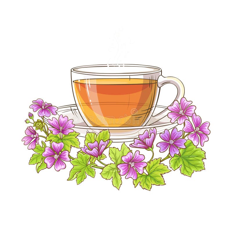 Mallow Tea Stock Illustrations – 149 Mallow Tea Stock Illustrations ...