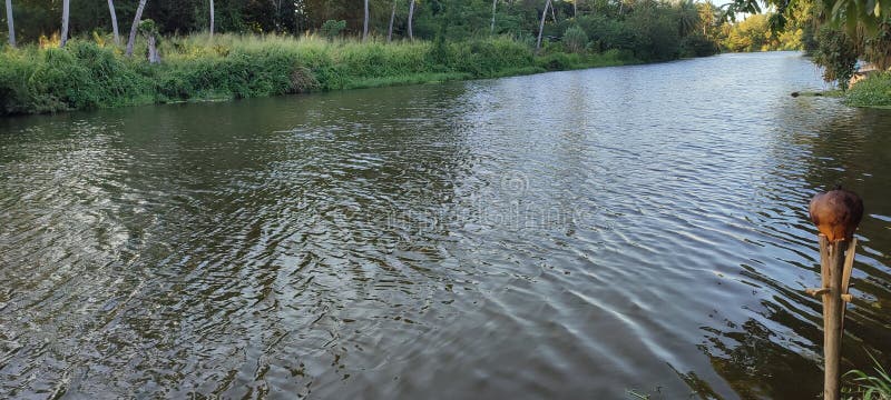 Malwathu oya stock image. Image of river, malwathu, lanka - 250821863