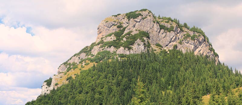 Maly Rozsutec stock image. Image of wood, mountain, mala - 6519787