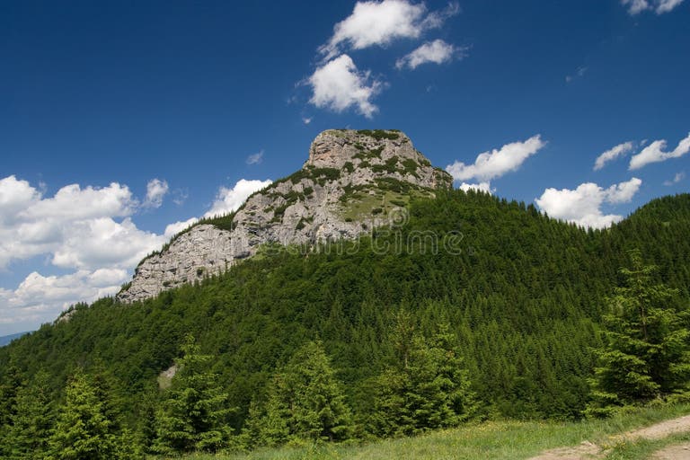 Maly Rozsutec stock image. Image of wood, mountain, mala - 6519787