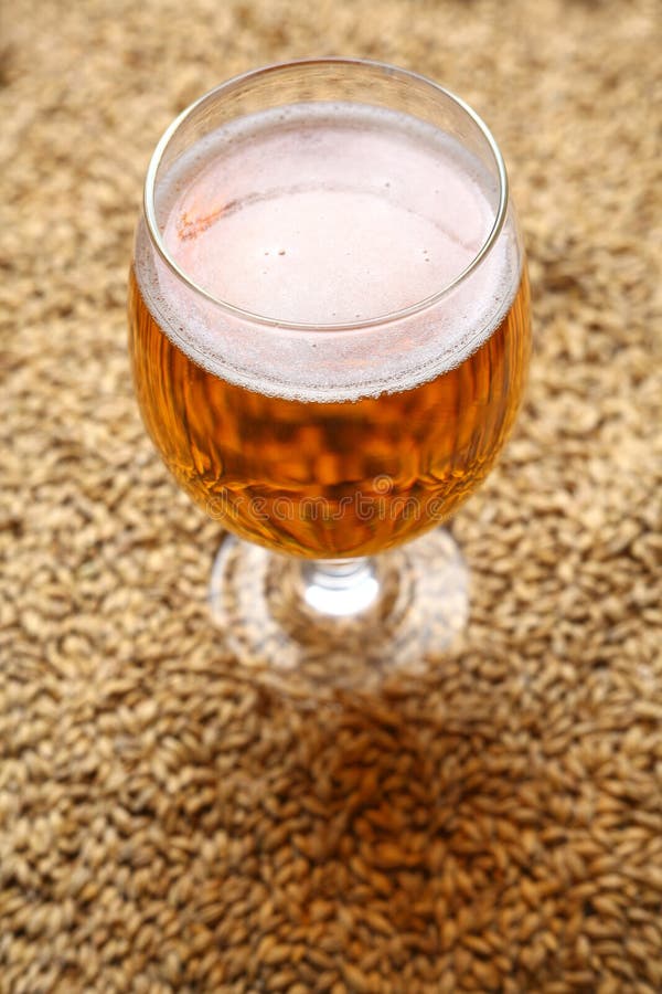 Malz und Bier stockfoto. Bild von landwirtschaft, material - 50323222