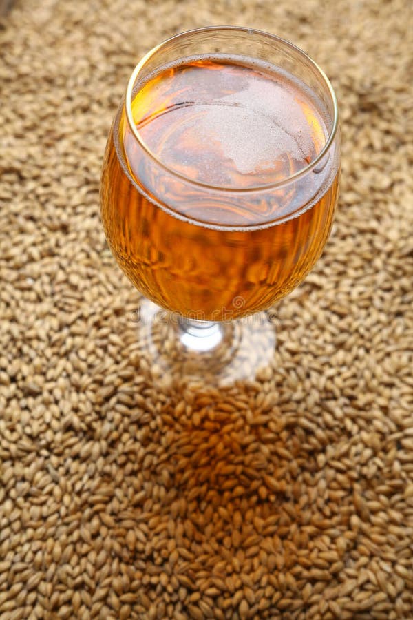 Malz und Bier stockfoto. Bild von malz, bier, schaum - 50323218