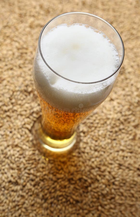 Malz und Bier stockfoto. Bild von landwirtschaft, material - 50323222