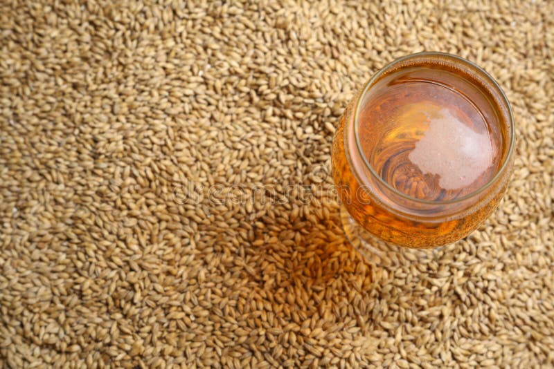 Malz und Bier stockbild. Bild von glas, schaum, gerste - 50323415