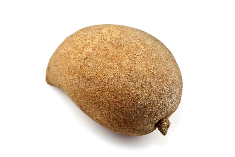 Mamey Sapote stock image. Image of mamey, tropical, sapota - 22853051