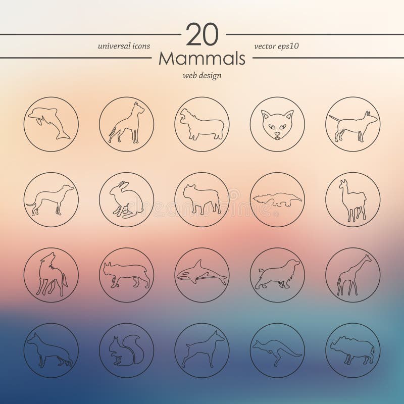 Set of mammals icons stock vector. Illustration of modern - 103313868