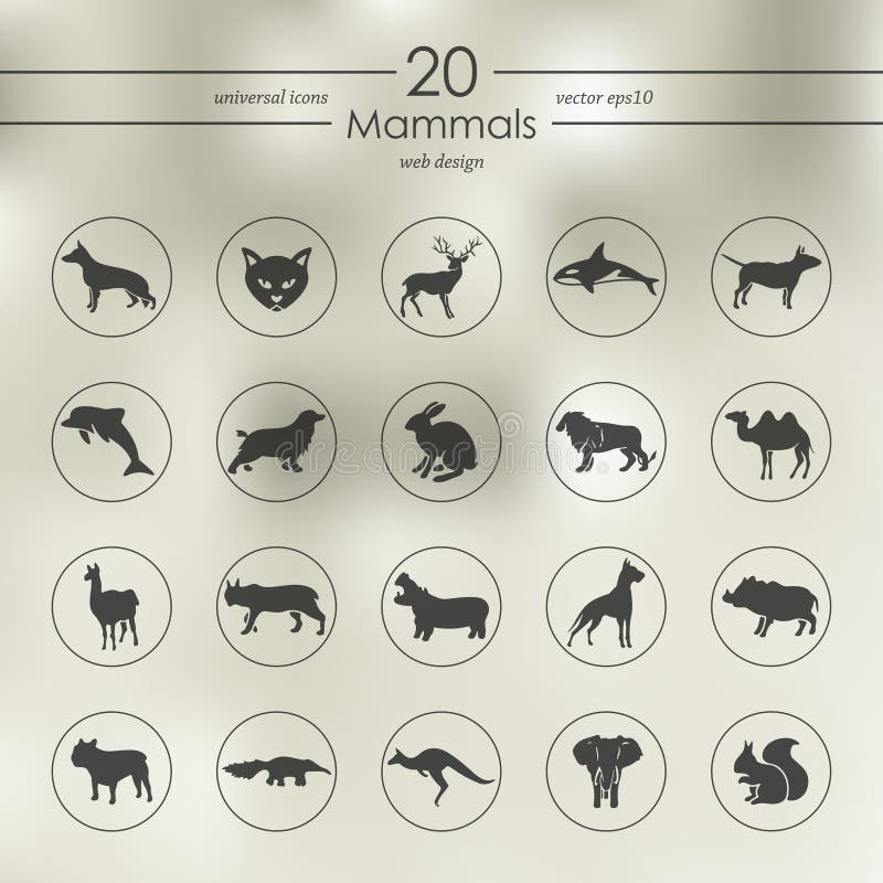 Set of mammals icons stock vector. Illustration of creative - 55078765