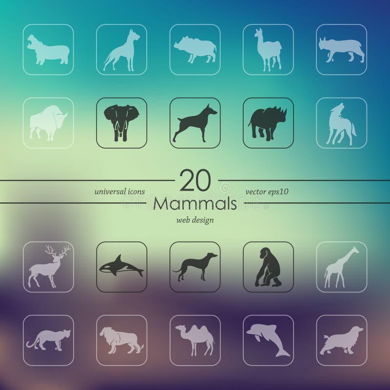 Set of mammals icons stock vector. Illustration of kangaroo - 98987420