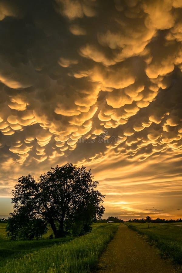 Beautiful Mammatus Clouds at the Back of a Severe Thunderstorm Over the ...
