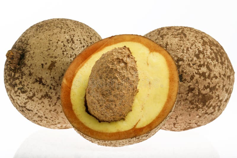 Mammee Apple (Mammea Americana) Stock Photo - Image of mammea, fruit ...