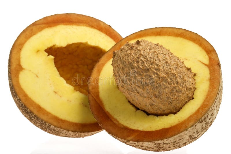 Mammee Apple (Mammea Americana) Stock Image - Image of south, tropical ...