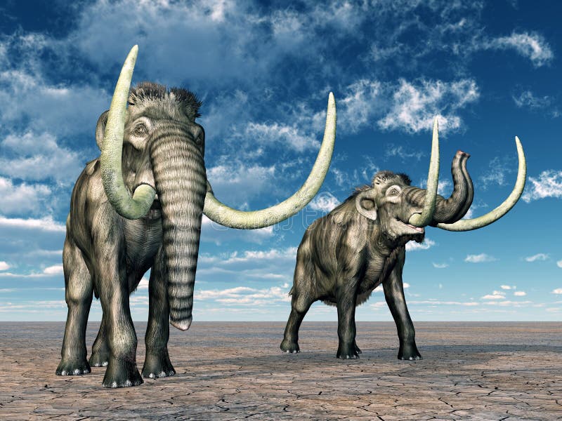 Mammoet stock illustratie. Illustration of ivoor, zoogdier - 30705290