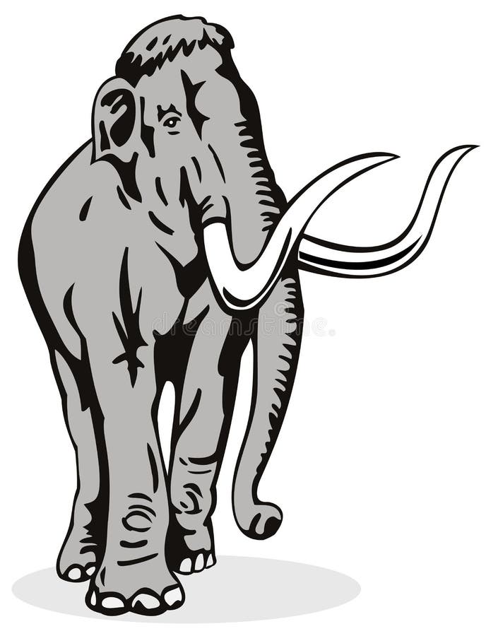 Mammoet olifant vector illustratie. Illustration of zoogdier - 7280414