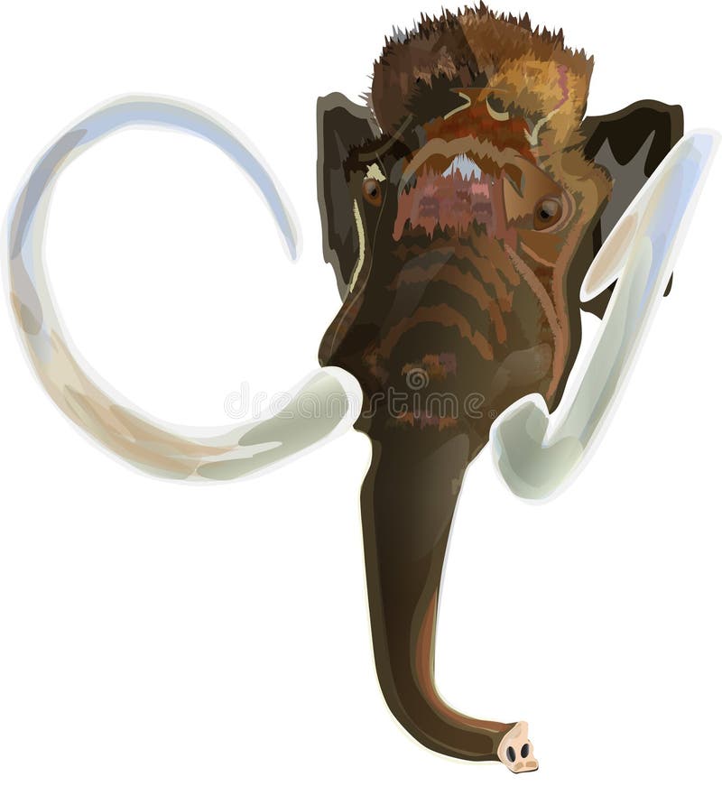 Mammoet Stock Illustrations, Vectors, & Clipart – (5,335 Stock ...